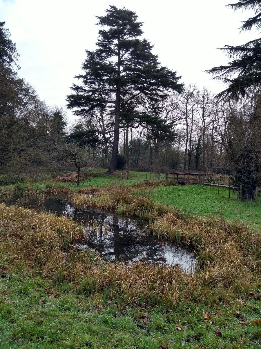 Braywick Nature Centre – Maidenhead in Pictures